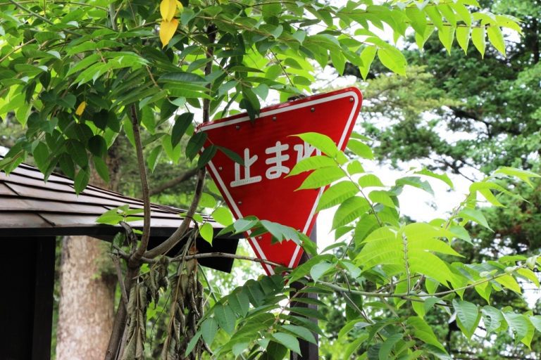 Japan im Campervan: so geht's | weltwunderer