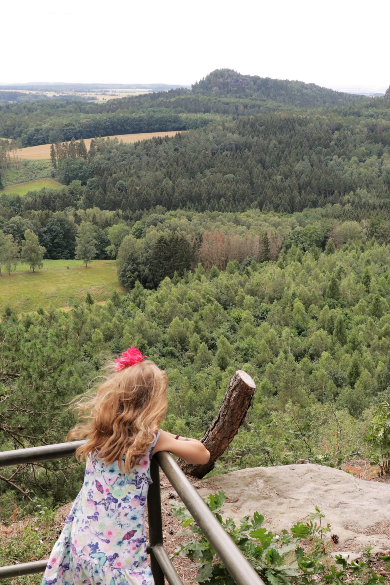 Sächsische Schweiz kinderleicht: die Rauenstein Wanderung von Rathen ...
