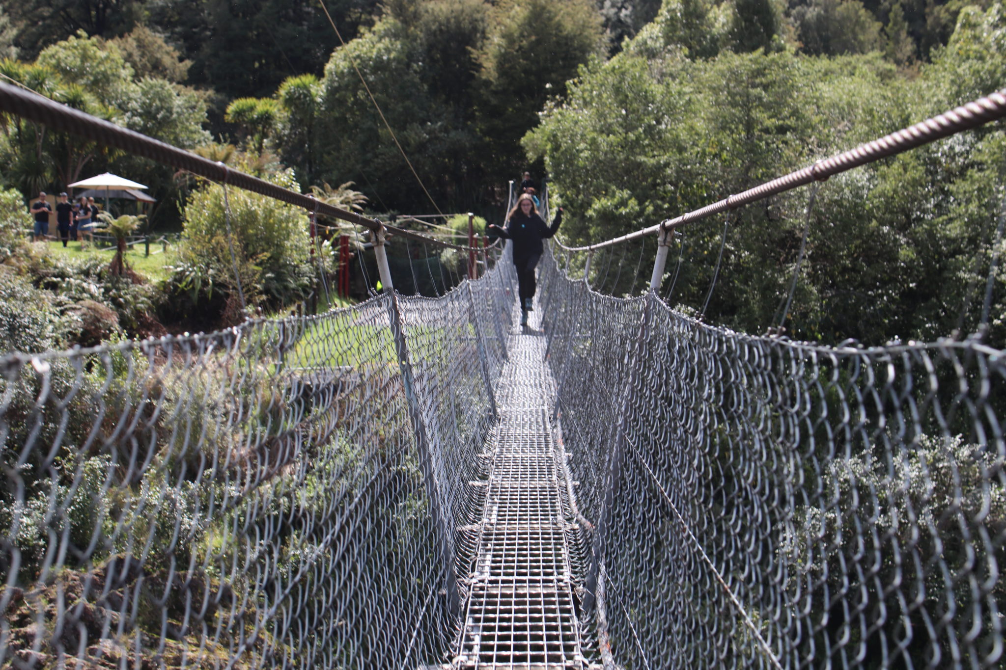 Buller Gorge in Neuseeland: ein Ausflug zwischen zwei Erdplatten