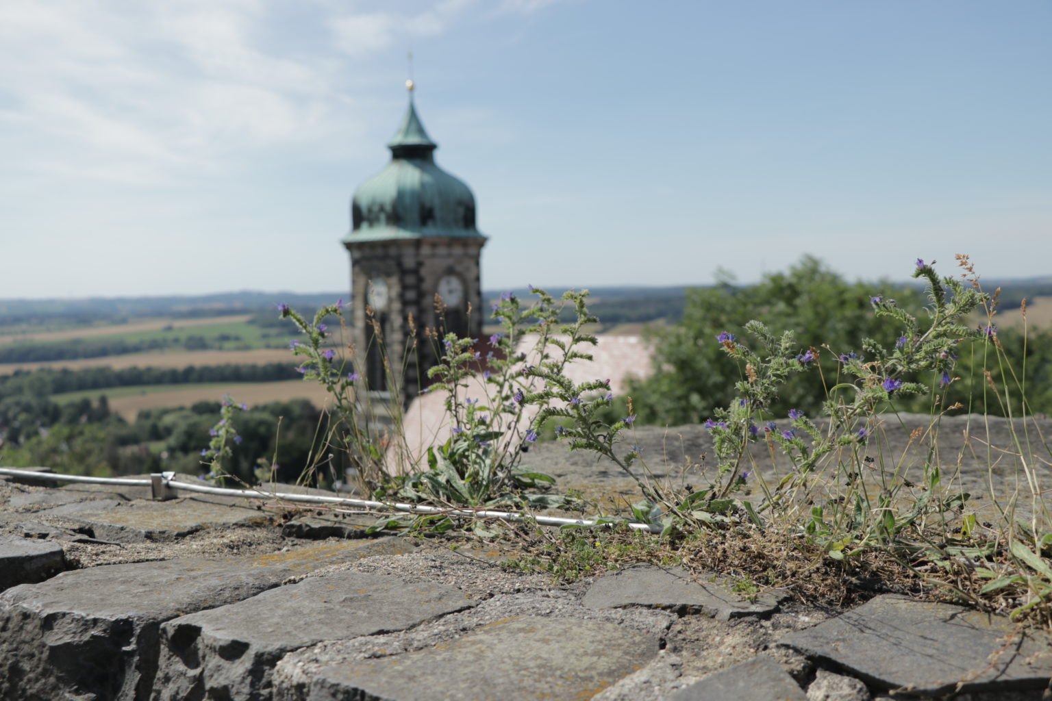 Burg Stolpen: Basalt, Burggeist und eine traurige Gräfin | weltwunderer
